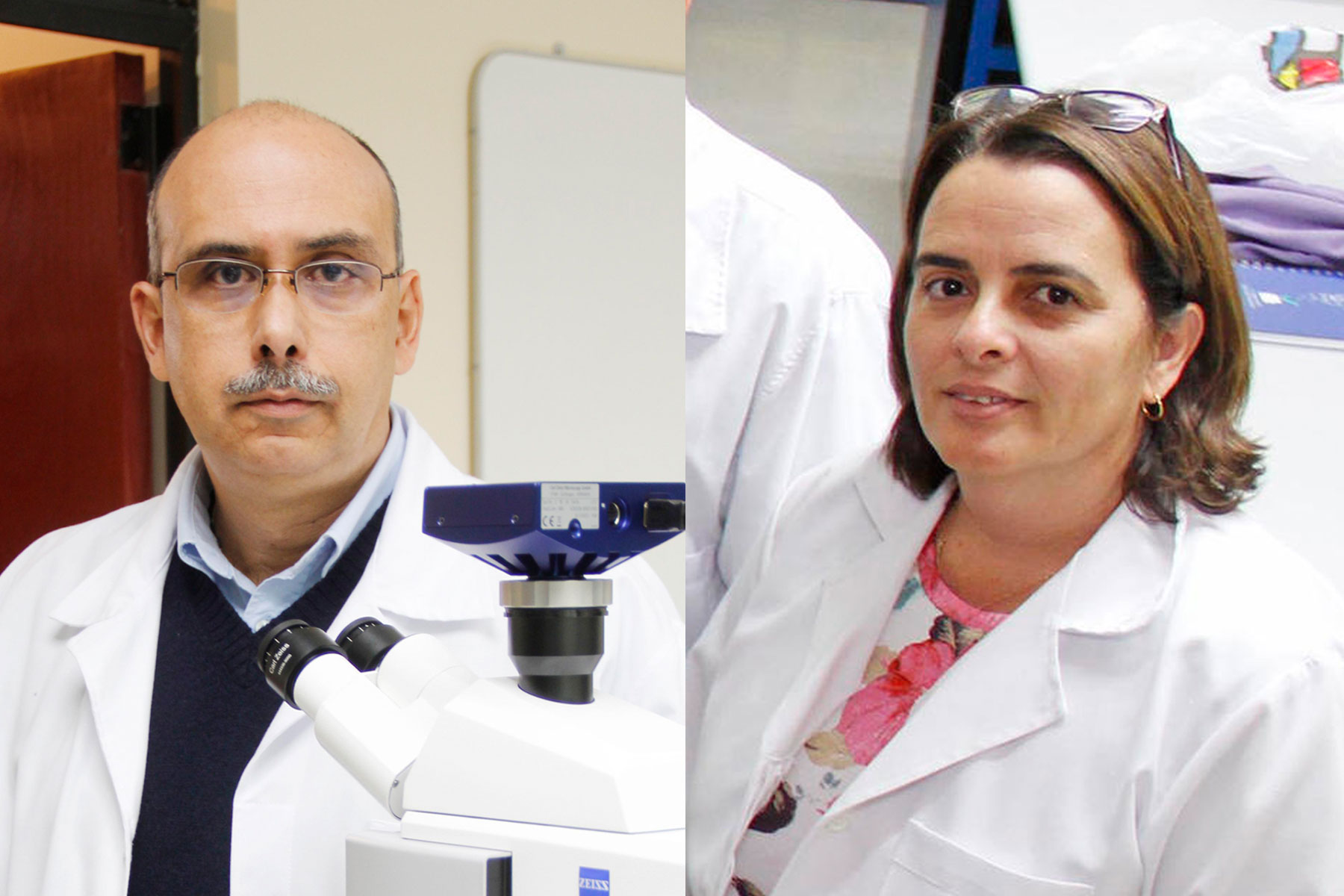 Académicos de la UCM se posicionan dentro del top ten a nivel mundial ...